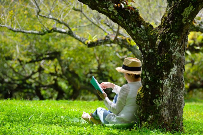 Best Places to Read Outside in the HRM with Recommended YA Picks ...