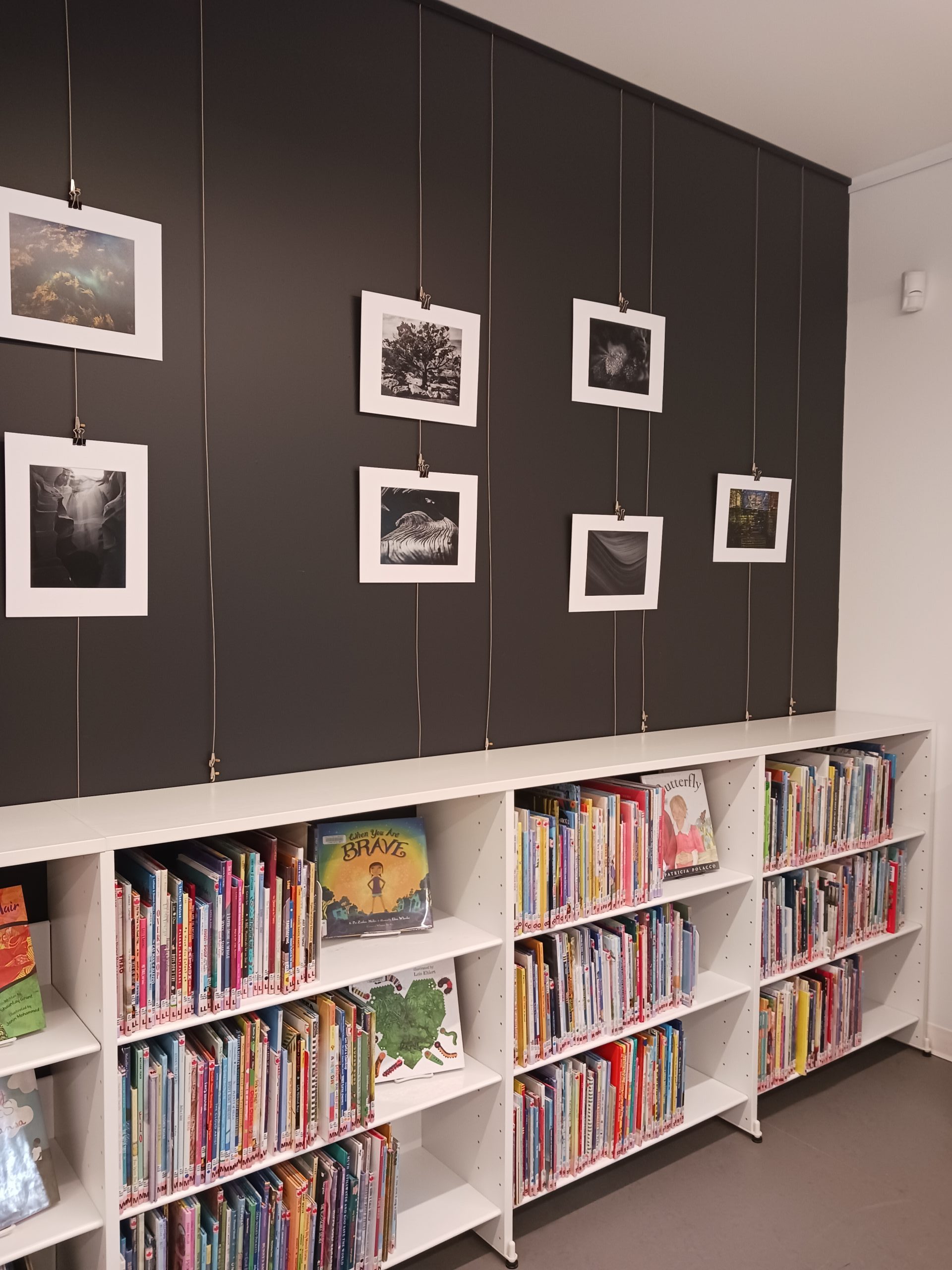 Art Displays | Halifax Public Libraries